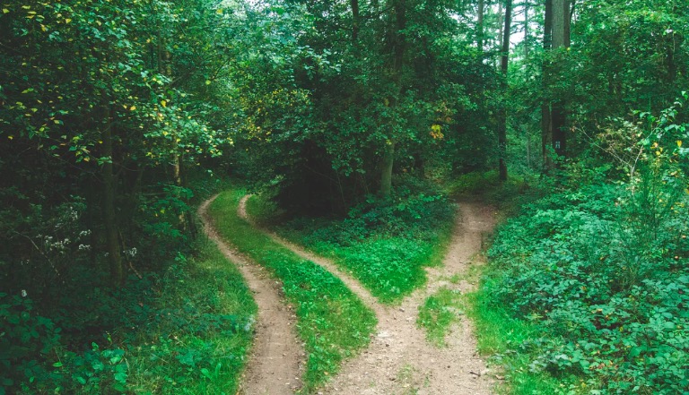 Making Bad Decisions: When Your Logic Turns Against You - Shortform Books