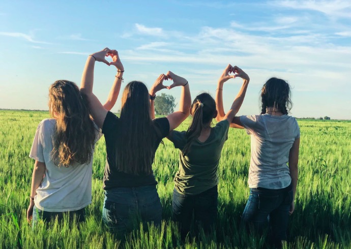 Group Selection: Groups Survive or Die Together - Shortform Books