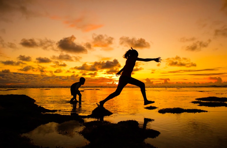 The Magic Flight: The Hero's Journey, Stage 13 (Explained) - Shortform ...