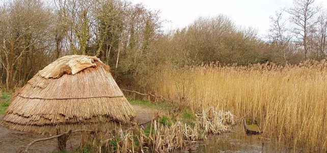 Hunter-Gatherer Societies: What We Know and Can't Know - Shortform Books