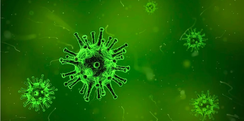 Social Epidemic: How to Make Your Ideas Spread Like Viruses - Shortform ...
