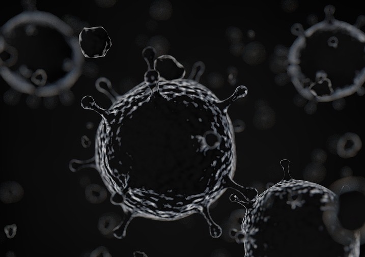 Syphilis Epidemic: How Small Changes Become Disasters - Shortform Books