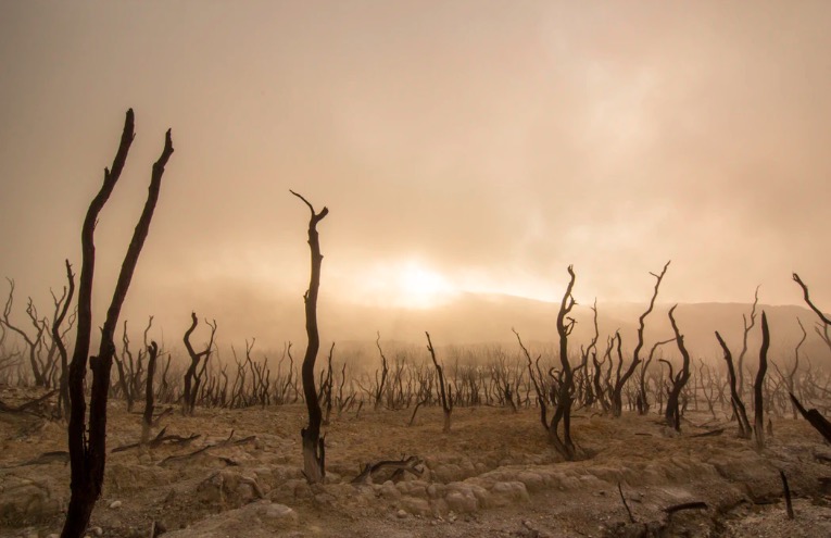 The Things They Carried—"The Lives of the Dead": Chapter Guide ...