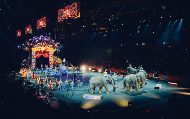 Cirque du Soleil - Blue Ocean Strategy, Explained | Shortform Books
