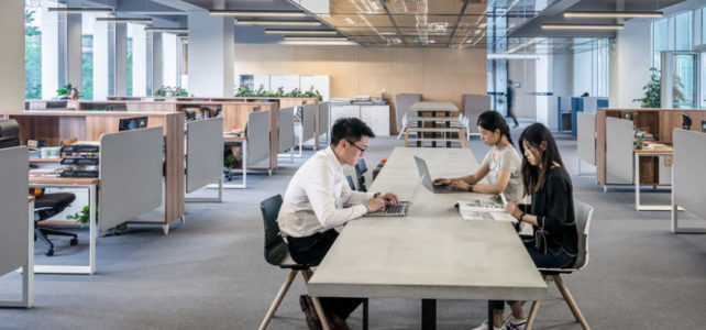 What Is a Startup? Definition and Examples - Shortform Books