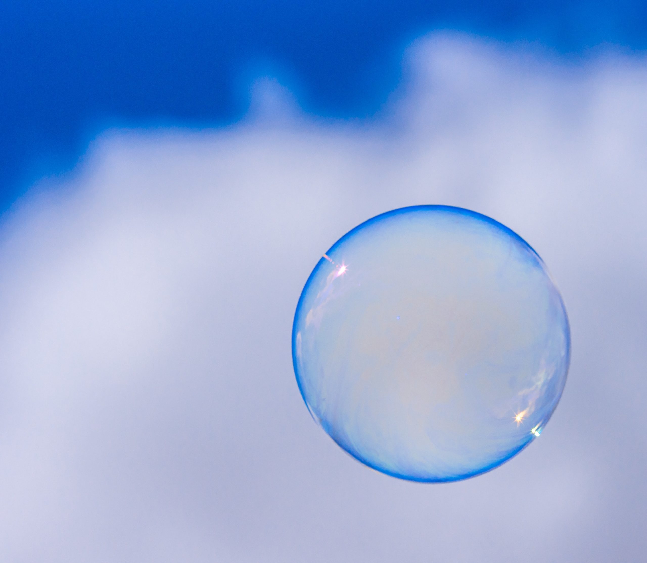Speculative Bubbles: Why They Inevitably Burst | Shortform Books