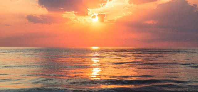 Five People You Meet in Heaven: 15 Discussion Questions - Shortform Books