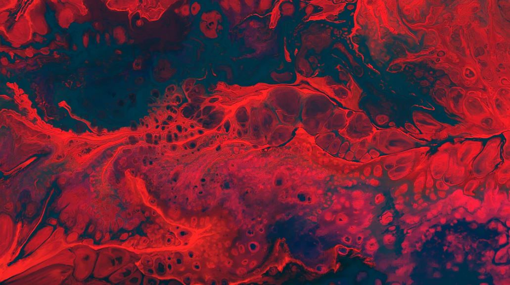 Christoph Lengauer: The Scientist Who Paints With HeLa Cells ...