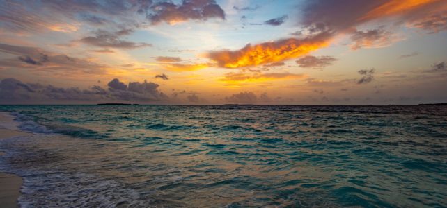 Is Unbroken a True Story? The Life of Louis Zamperini - Shortform Books