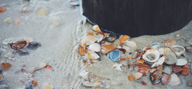 Was Chase Andrews a Manipulative Partner? - Shortform Books