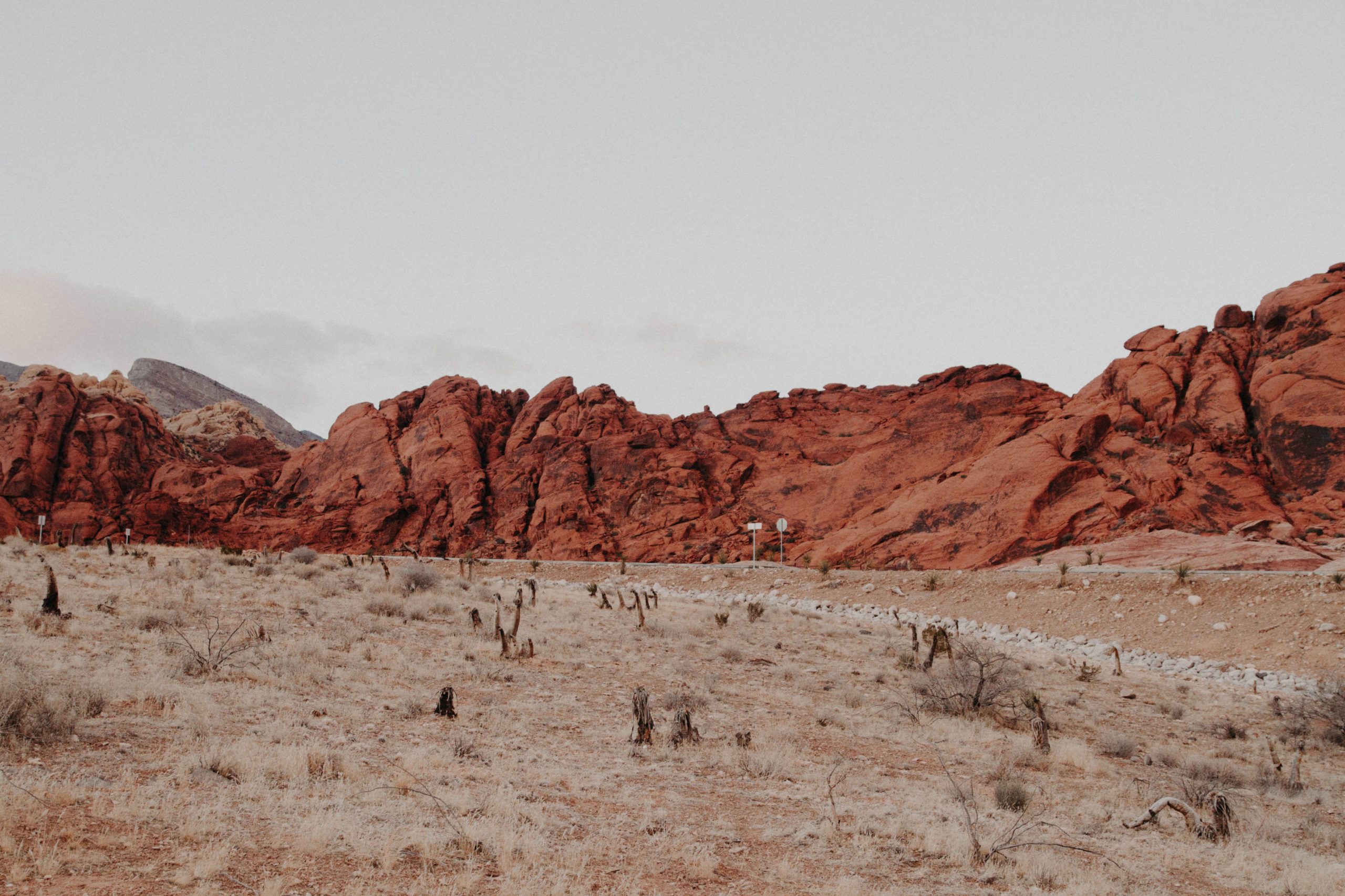 Ribot's Law: What Forgetting Says About Remembering | Shortform Books