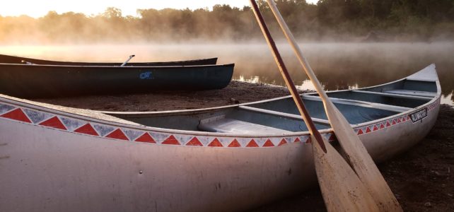 Rodney Horn: Witness to Murder in Where the Crawdads Sing? - Shortform ...