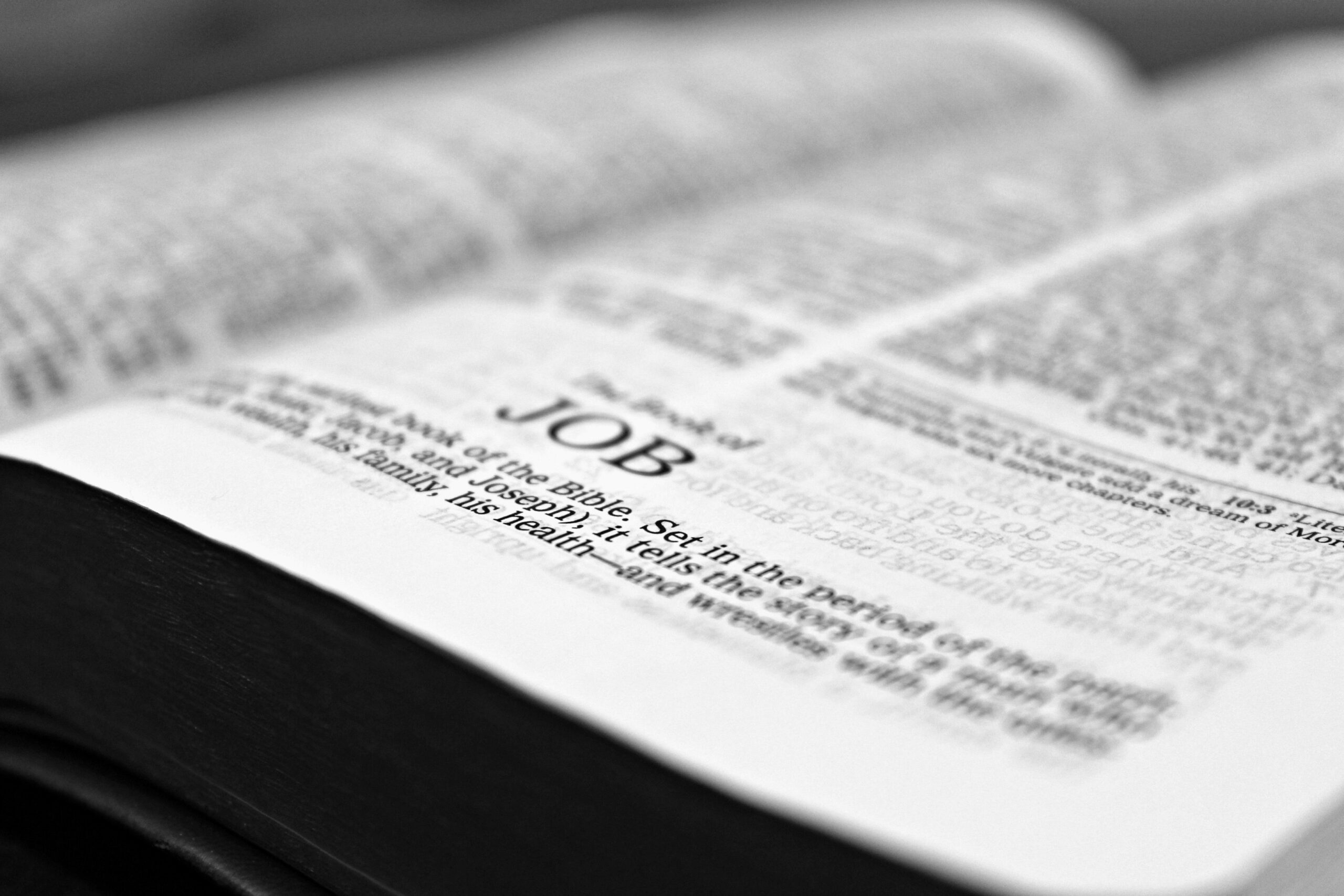 Craig Blomberg Expert On Jesus And The Gospels Shortform Books craig-blomberg-expert-on-jesus-and-the-gospels-shortform-books