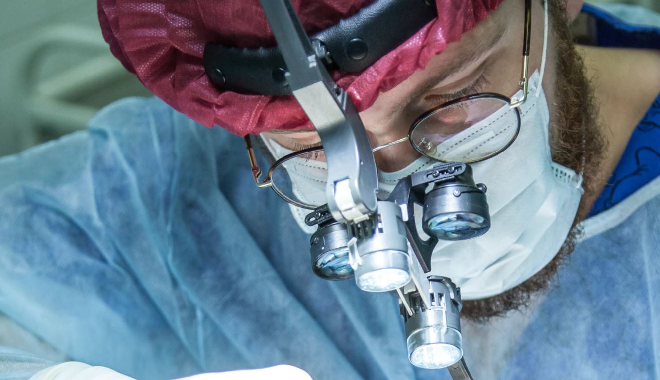 Ekbom Syndrome: Are You Obsessed With Bugs? | Shortform Books