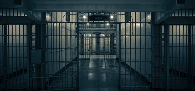 My Year in a Women's Prison: Piper Kerman's Lessons - Shortform Books