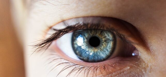 Human Eyesight: The Science of How We See - Shortform Books