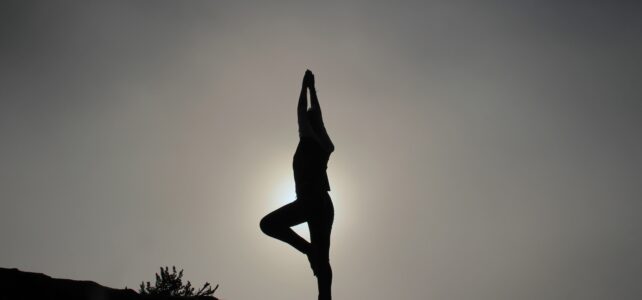 Yogi Raman: Teacher Changed Julian Mantle's Life - Shortform Books