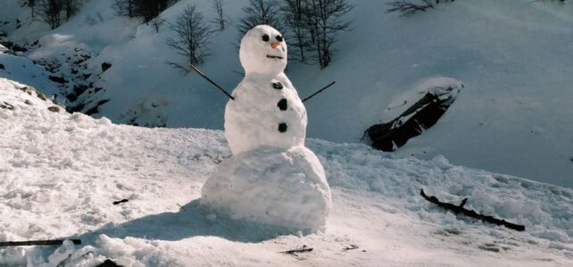 Tiddely Pom: Keep Rolling Towards Happiness - Shortform Books