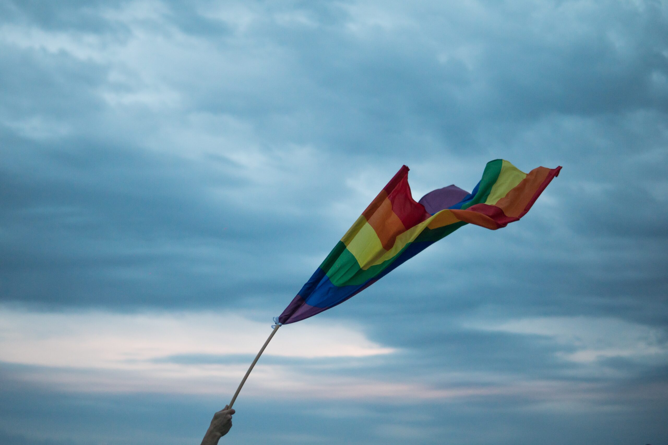 The Rise of the LGBTQ+ Movement: A Product of the Modern Self ...