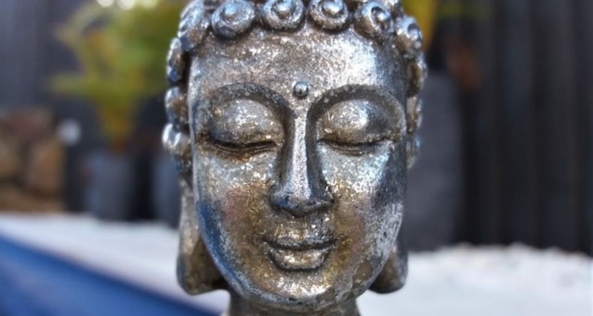 The Observing Self vs. the Thinking Self | Shortform Books