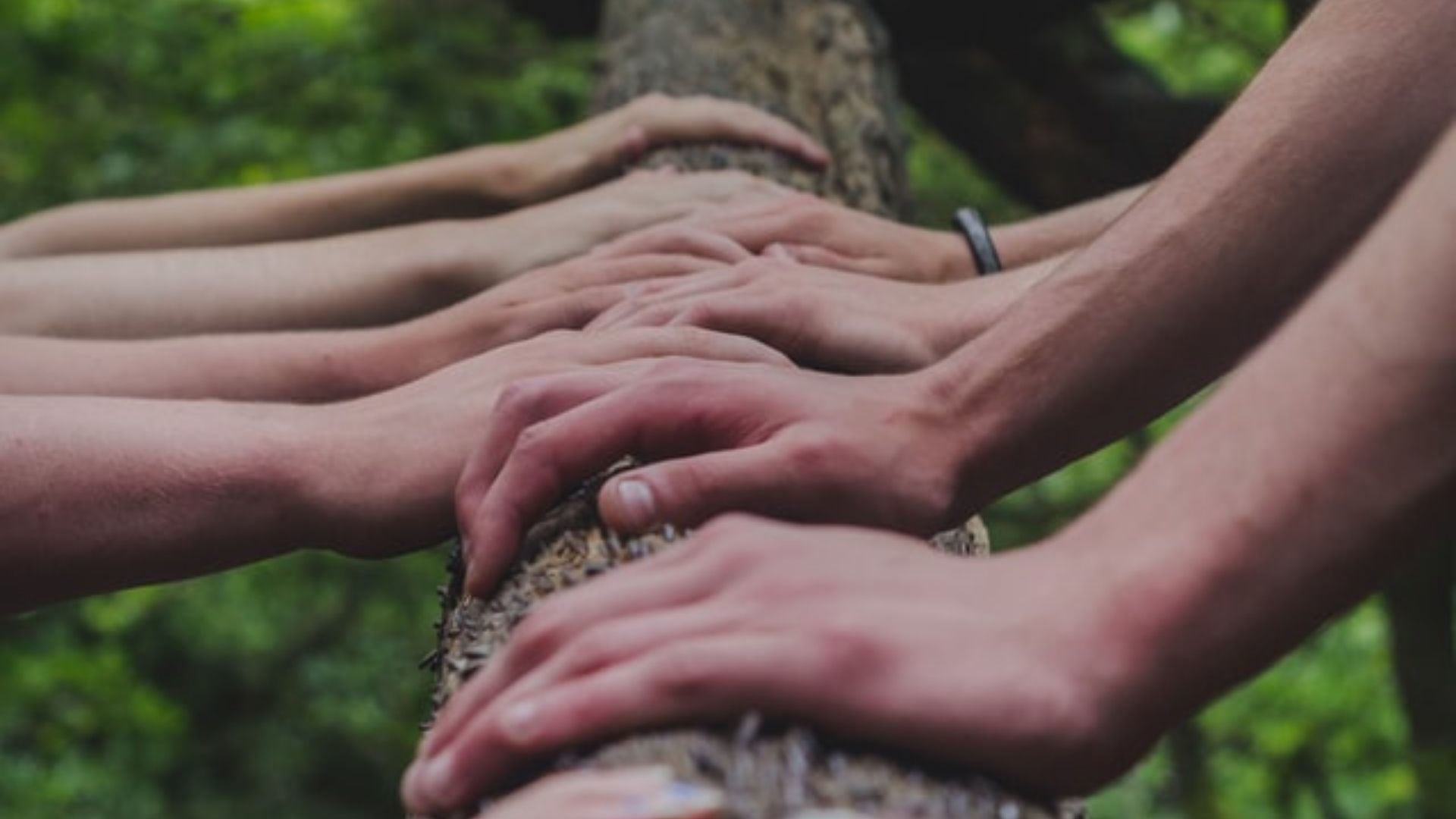 The Ideal Team Player: Quotes by Patrick Lencioni | Shortform Books