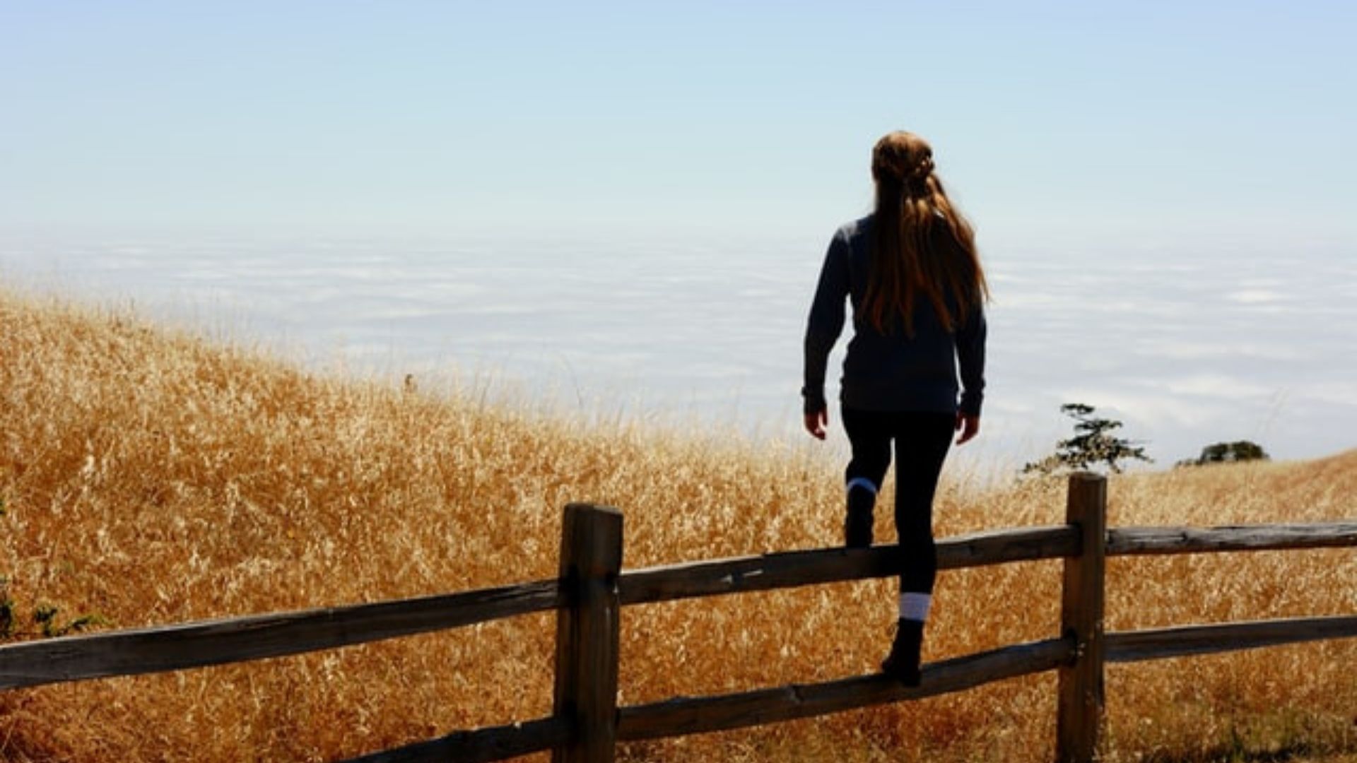 How to Remove Obstacles That Stifle Your Progress | Shortform Books