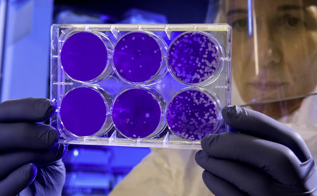 The Body's Defense Against Pathogens and Bacteria | Shortform Books