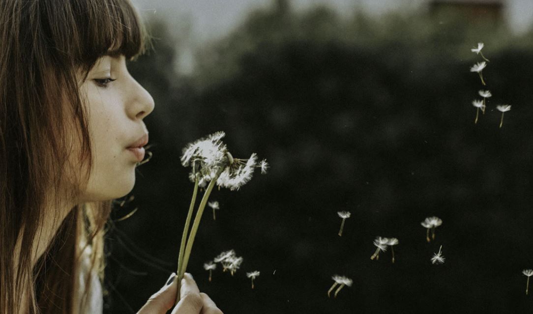 Temporary Happiness: Why We Can't Always Be Happy | Shortform Books