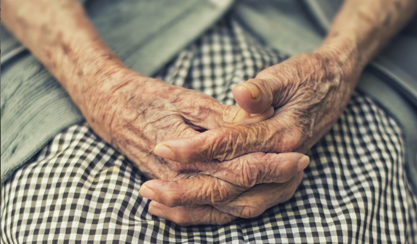 The Human Aging Process: Why and How We Age | Shortform Books