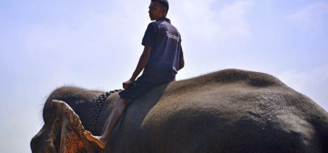 The Elephant and the Rider: The Happiness Hypothesis - Shortform Books