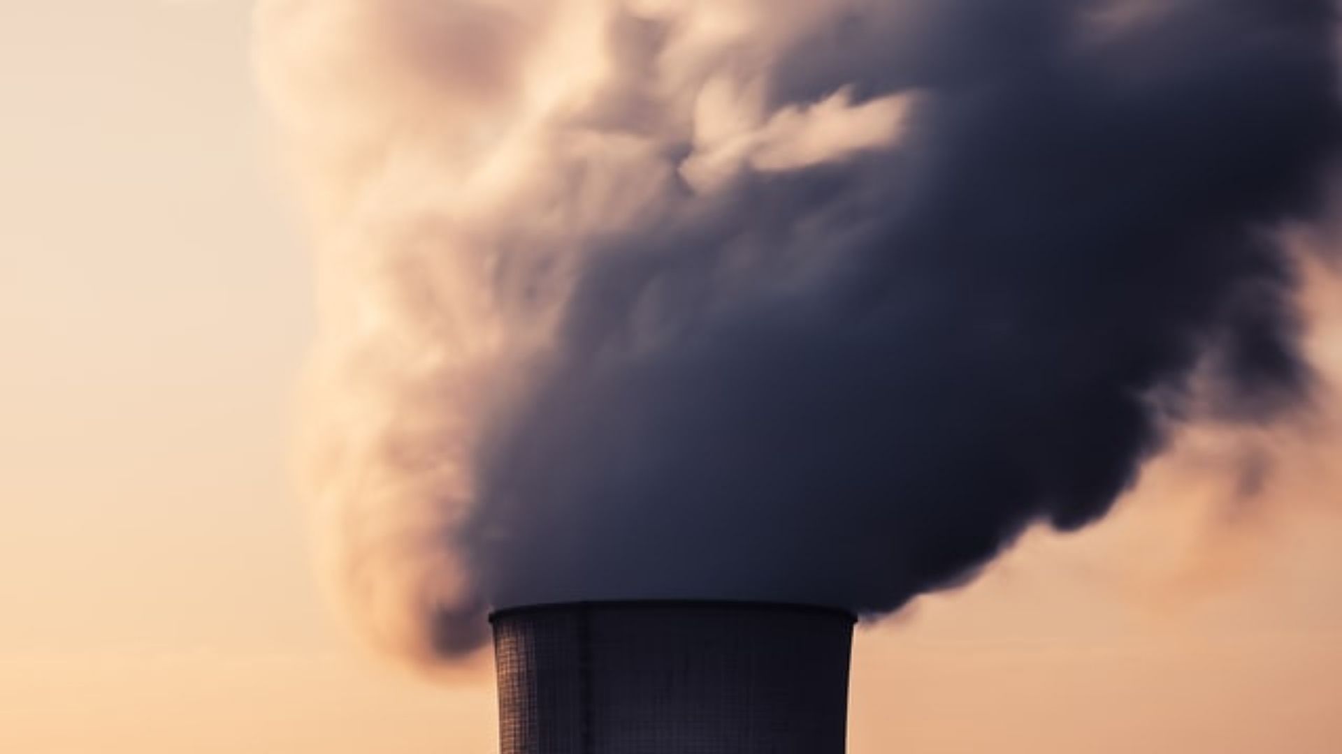 What Are the Negative Effects of Economic Growth? | Shortform Books