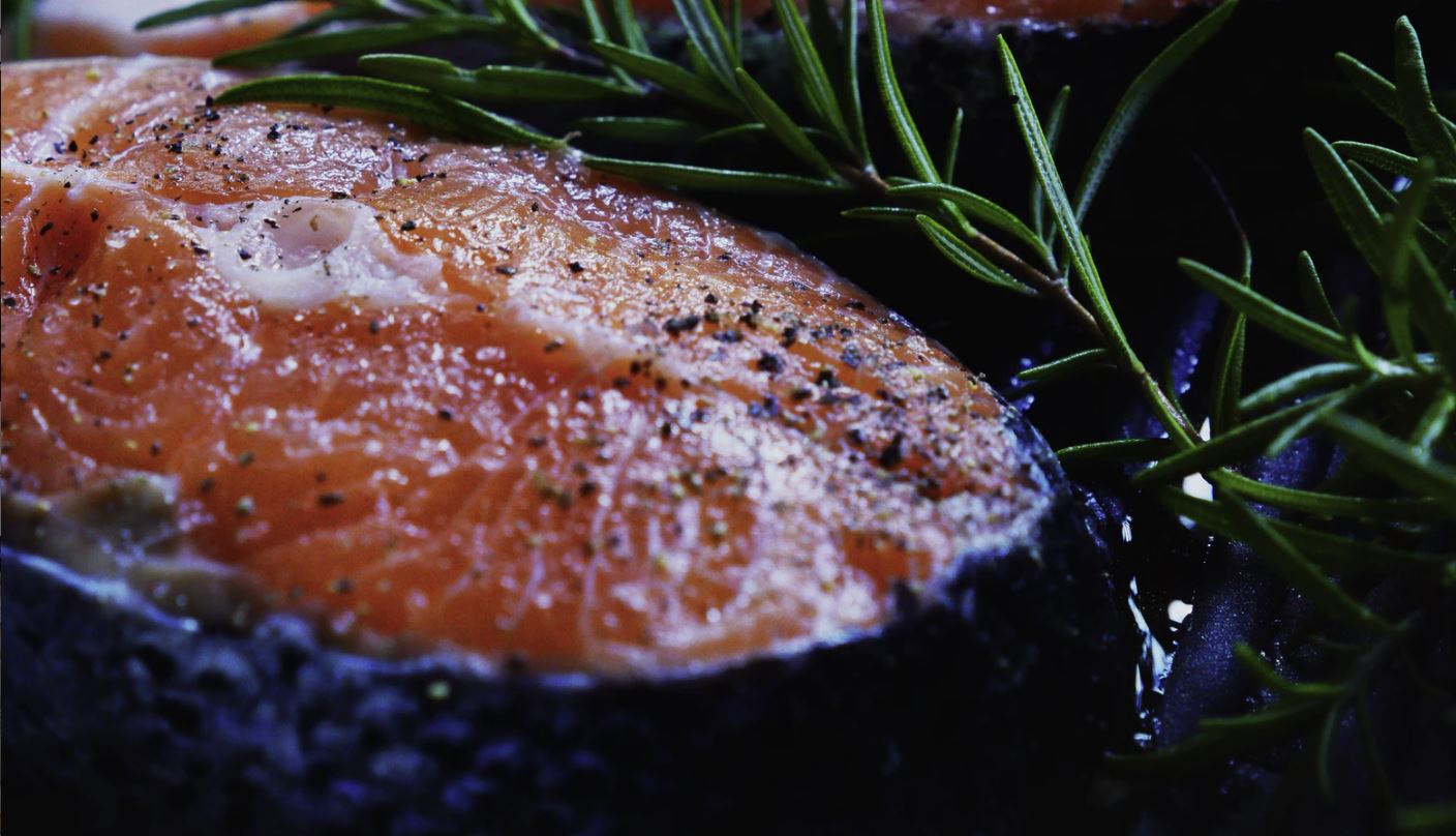 How Do Parasites Work if They Damage Their Host? | Shortform Books