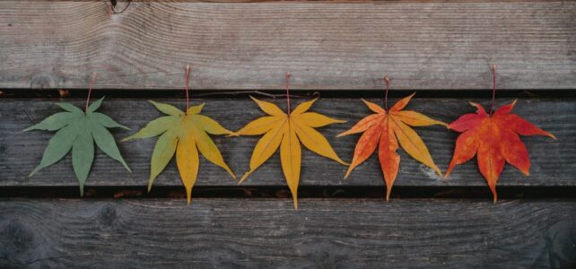 Symbolism of Seasons in Literature: Explained - Shortform Books