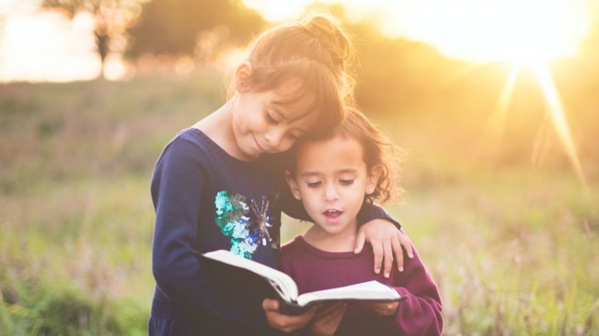 The Importance of Family Culture: Examples and More | Shortform Books