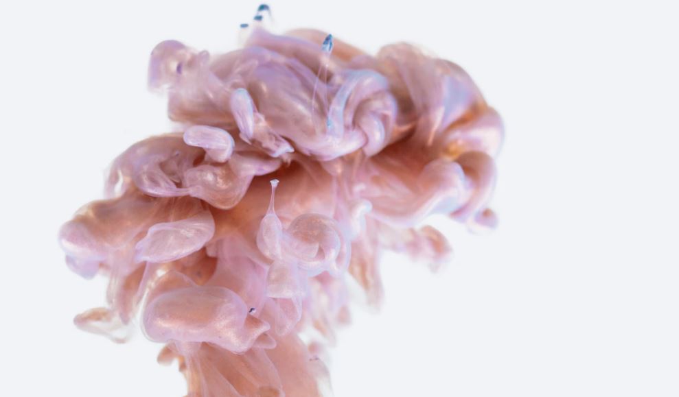 Stress Response in the Body: How It Helps & Harms You | Shortform Books