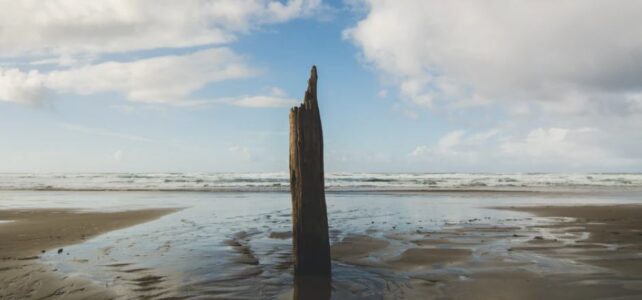 Brené Brown's 10 Guideposts for Wholehearted Living - Shortform Books