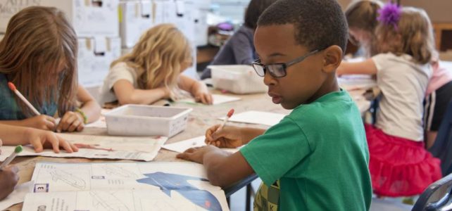 Individualized Instruction: Fulfilling Students' Needs - Shortform Books