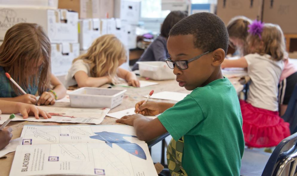 Individualized Instruction: Fulfilling Students' Needs | Shortform Books