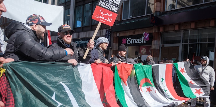 The Hive Mentality in Politics: A Force for Good or Bad? | Shortform Books