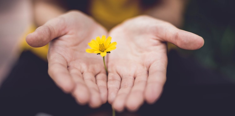 The 6 Moral Foundations: Beyond the Harm Principle | Shortform Books