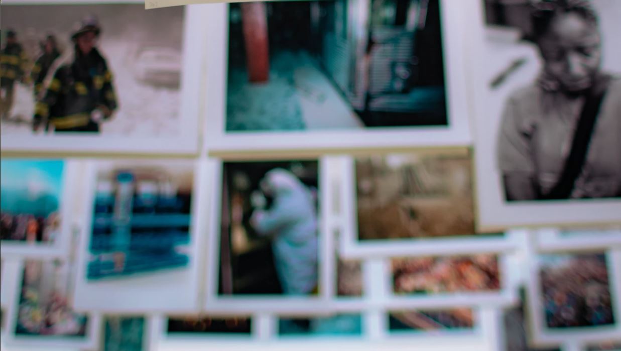 The Frontal Lobe: What It Is and How it Works | Shortform Books