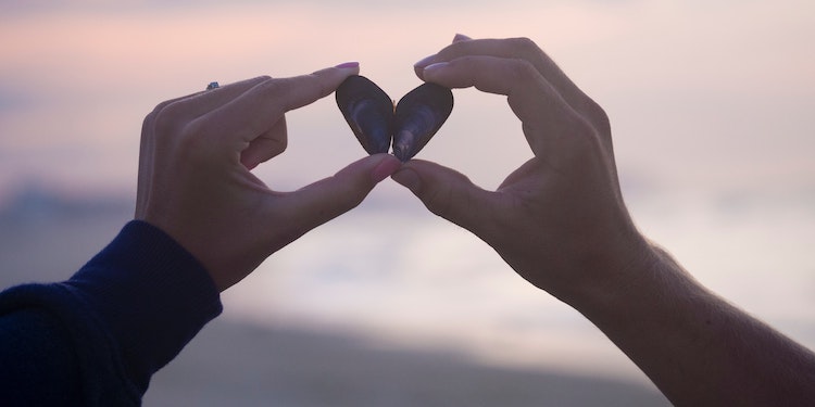 Love Is Not a Feeling—It Is an Act of Will | Shortform Books