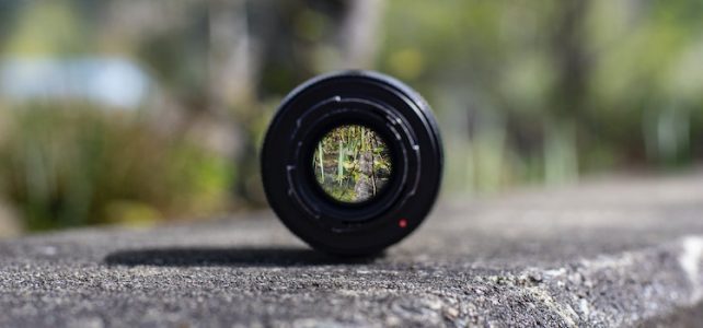 The Top 5 Benefits of Focus in All Aspects of Life - Shortform Books
