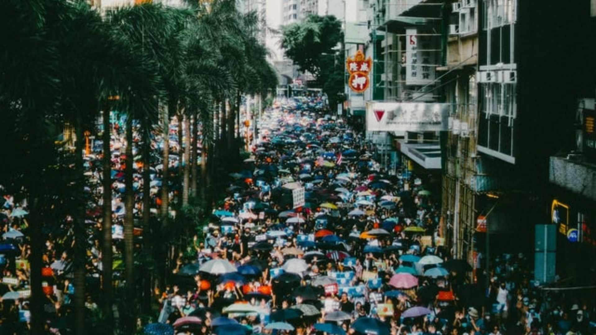 Human Overpopulation Concerns Are Overblown | Shortform Books