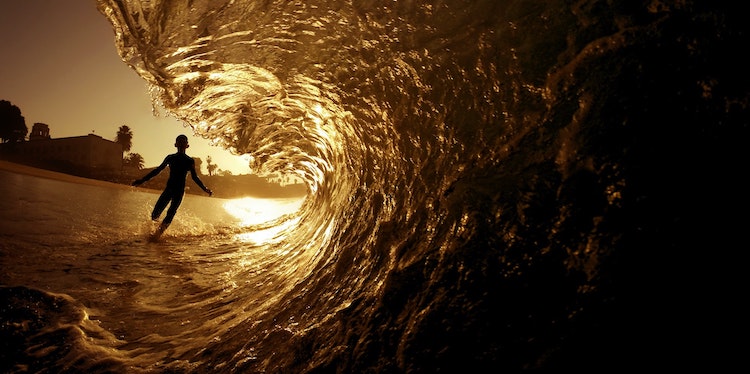 The 4 Risks of Love: Why Real Love Takes Courage | Shortform Books