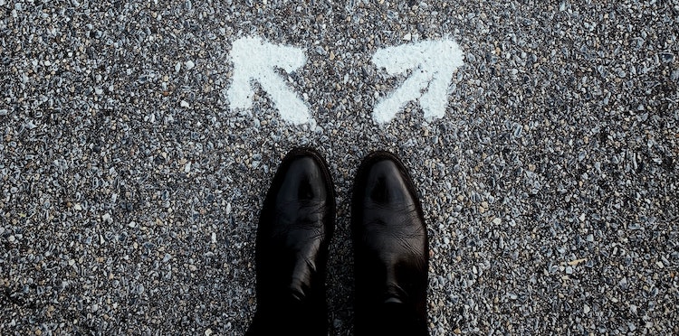 Alternative Futures: What's at Stake With Each Decision | Shortform Books