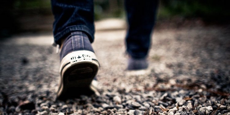 Living a Life of Purpose: 4 Ways to Stay on Track - Shortform Books