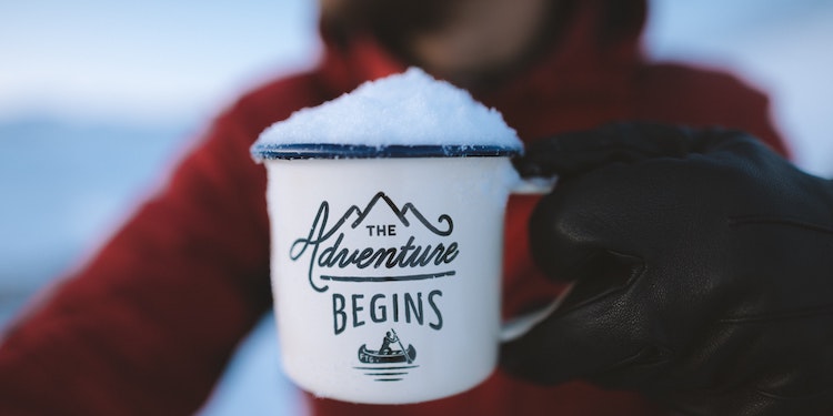 Design the Next 5 Years Using the Odyssey Plans - Shortform Books