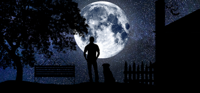 Loonshots: Meaning and Key Characteristics - Shortform Books