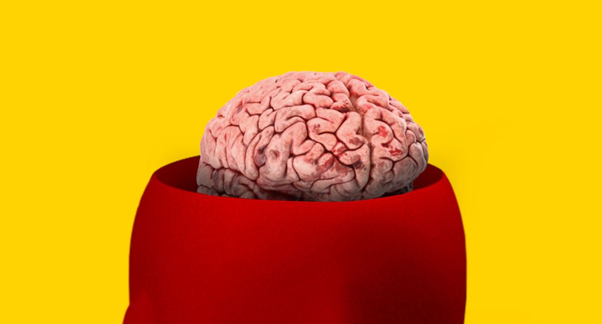 How Are Habits Formed in the Brain? - Shortform Books
